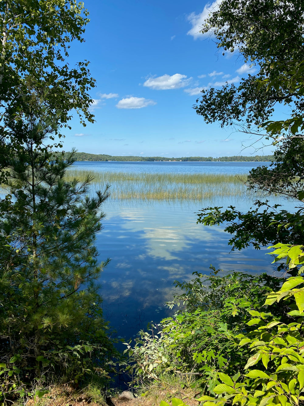 Clothing – Ardor Boutique